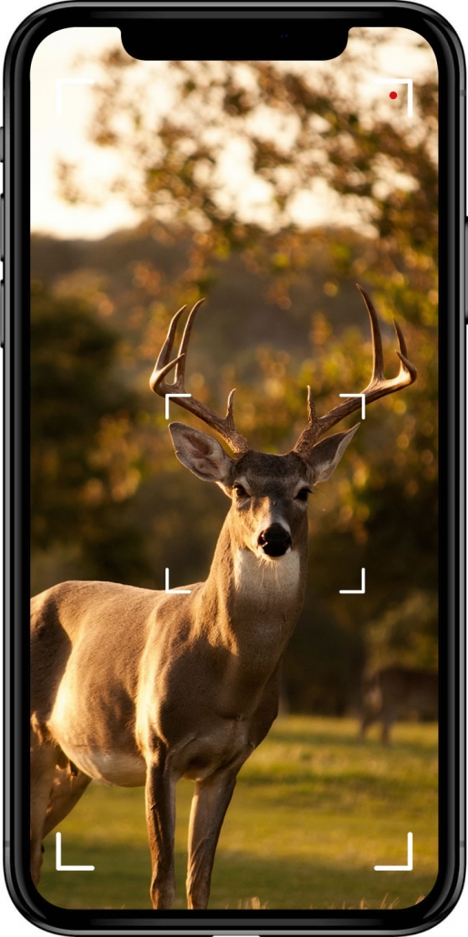 Hiicam Download Center - Manuals & Hunting Cam App