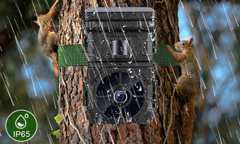 Solar Panel Integrated Hunting Camera - Hiicam
