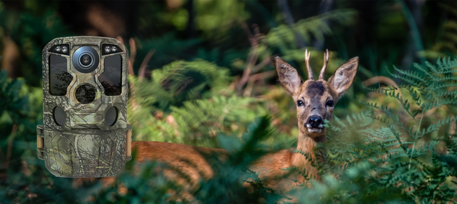 Hiicam - Innovative Camera Technology Solutions